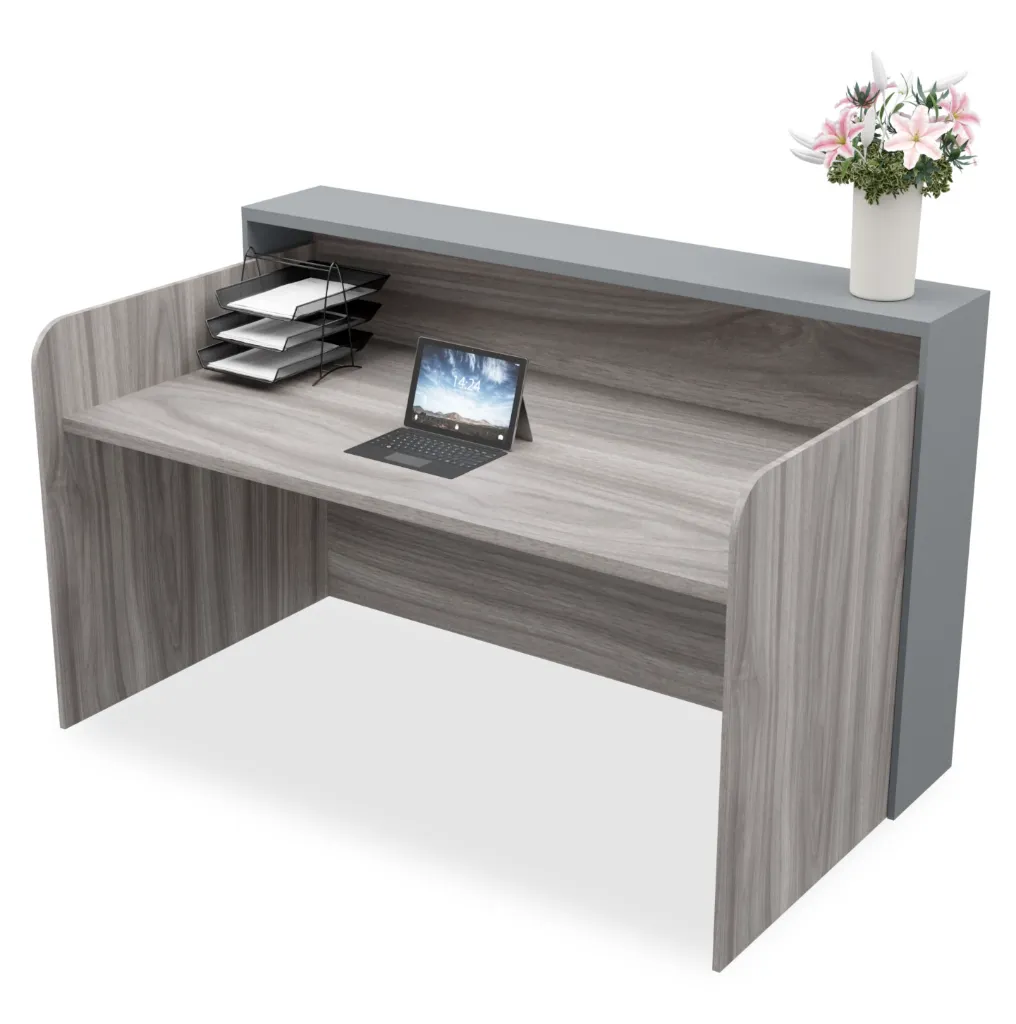 Luna Reception | Absolute Office